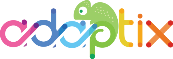 Overview of Adaptix - Adaptix